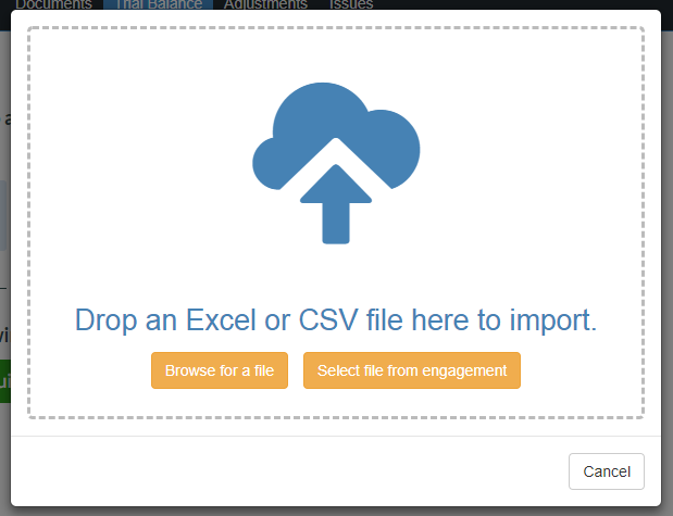 Import the trial balance from a CSV or Excel file